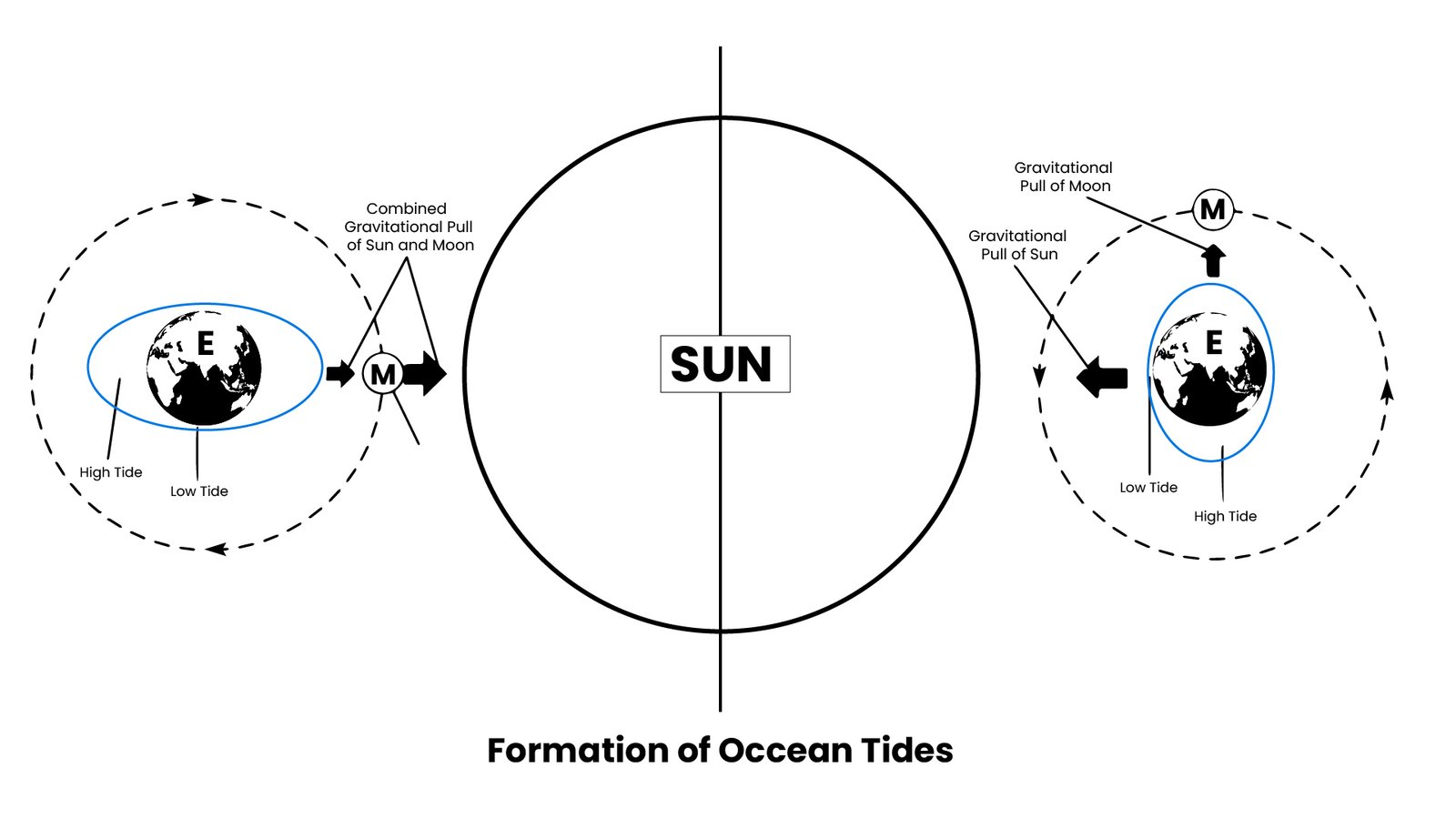 CSS Solved General Science And Ability Past Paper 2012