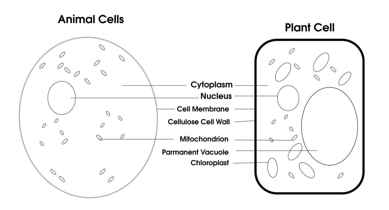 CSS Special Solved General Science | CSSPrepForum