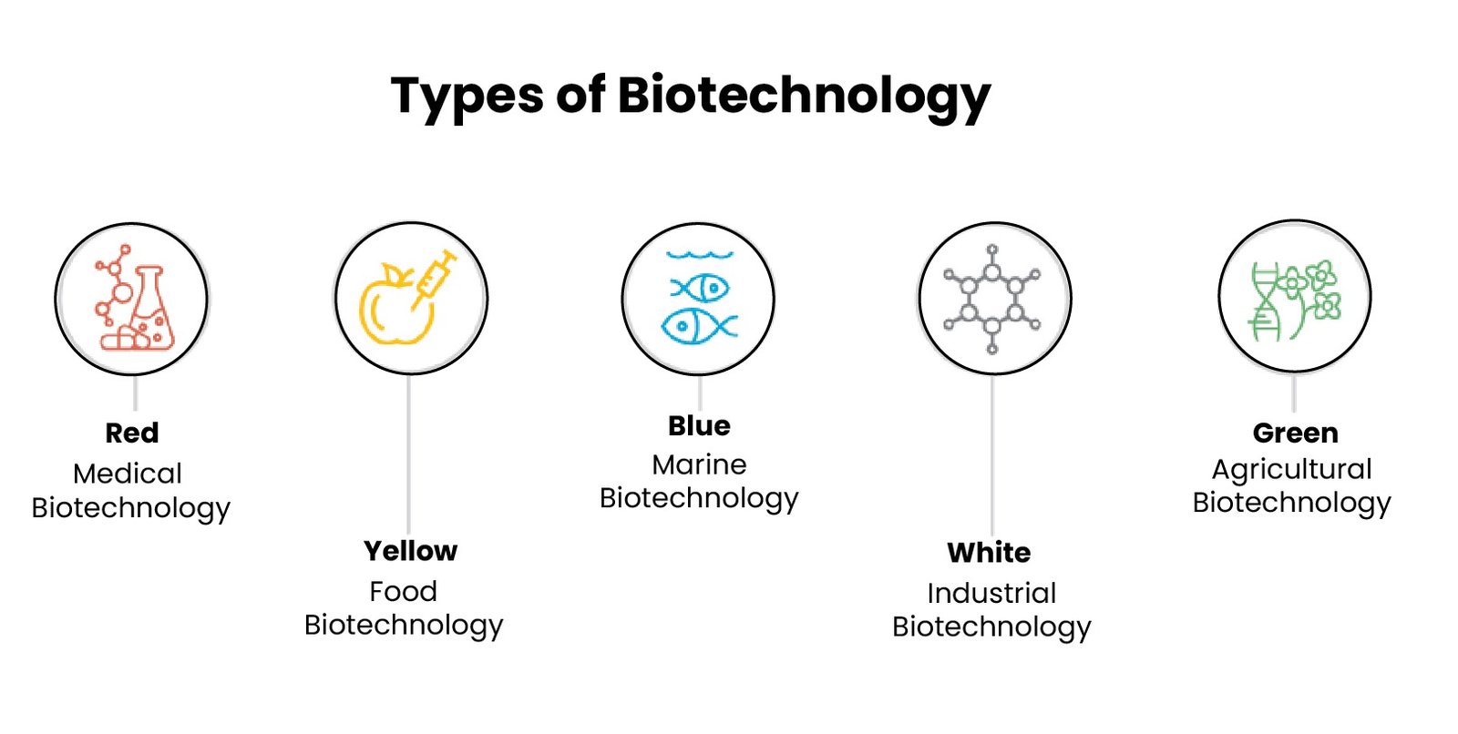 CSS Solved General Science and Ability Past Paper 2013
