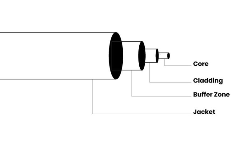 CSS Solved General Science And Ability Past Paper 2024